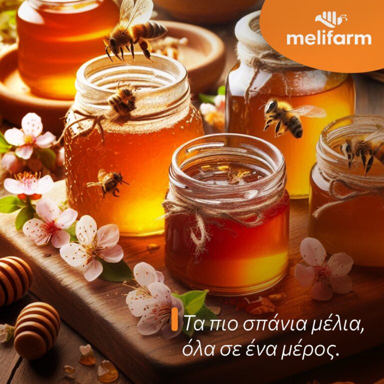 Μέλι Βελανιδιάς Ιδιότητες & Χαρακτηριστικά | Θησαυρός της Φύσης